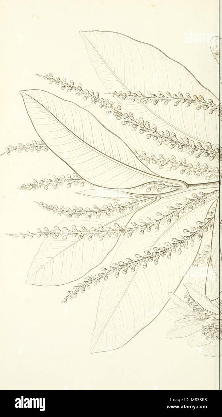 A French-language periodical reporting on scientific research findings, often covering a wide ...