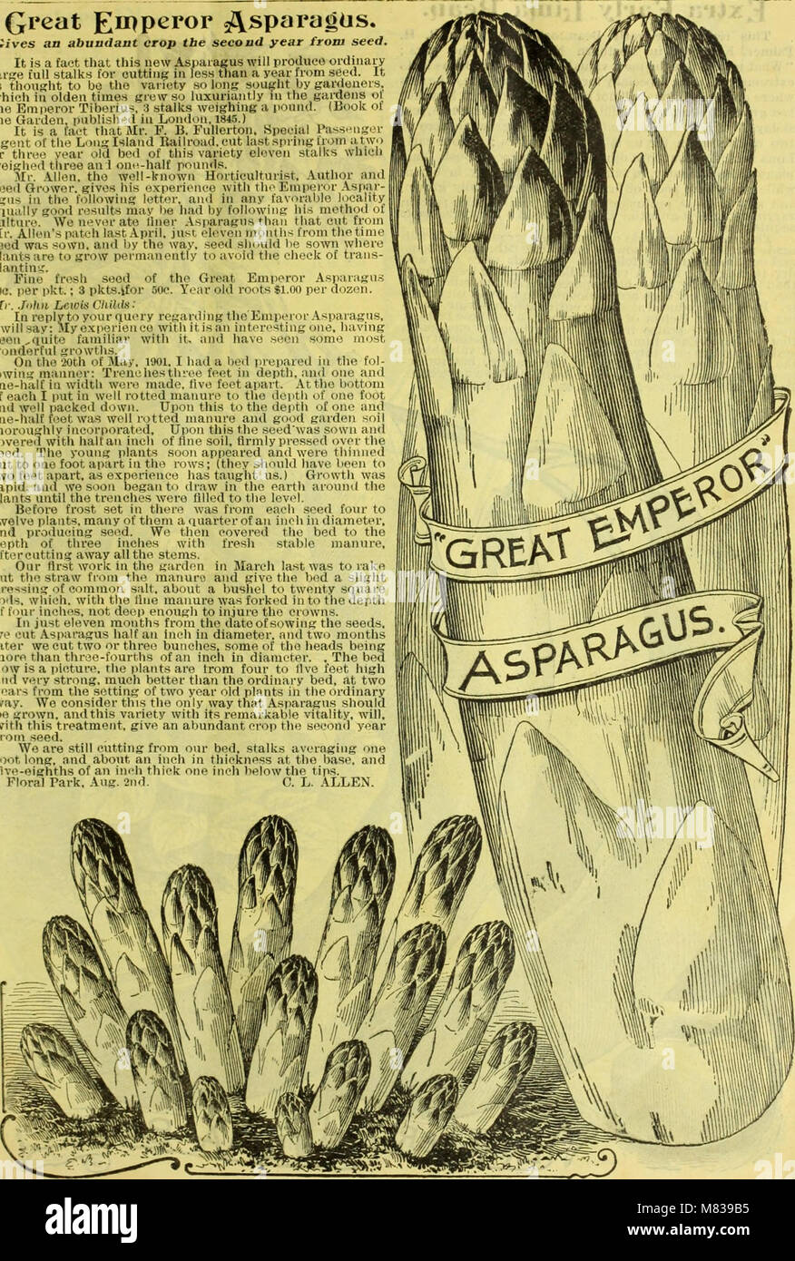 This 1903 catalog presents a selection of rare bulbs, plants, seeds ...