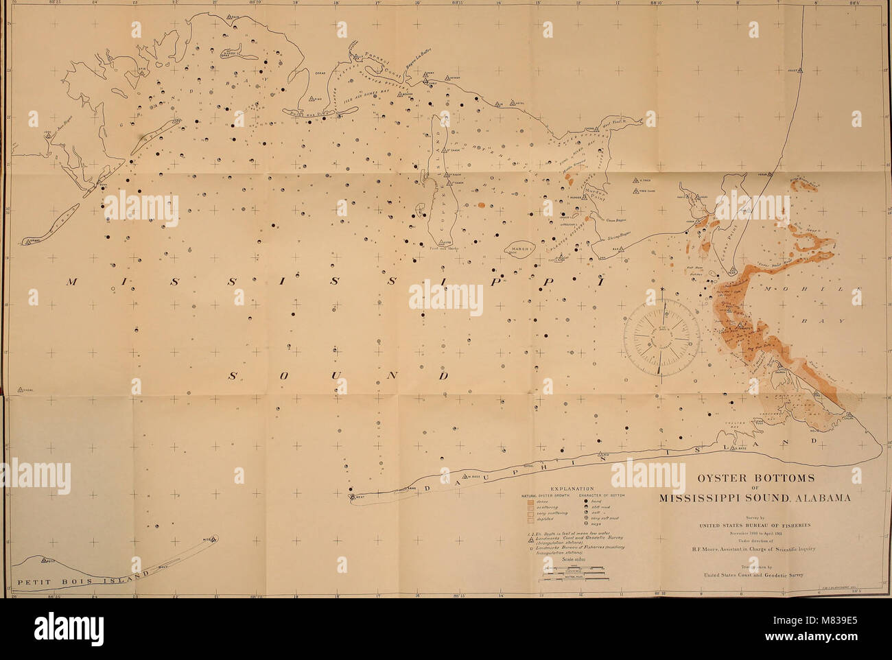 This 1913 report evaluates the condition and extent of natural oyster ...
