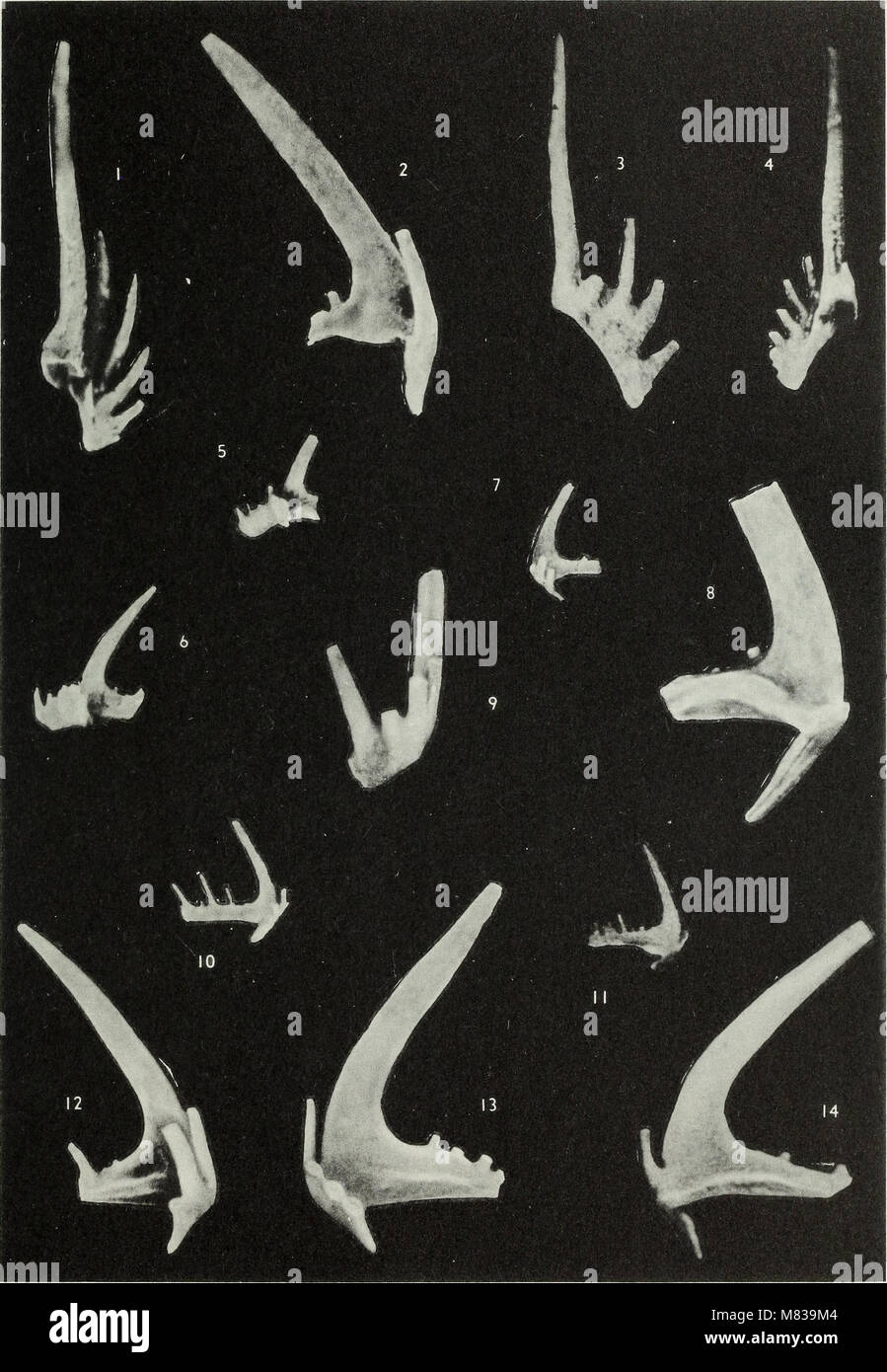 Chester formation hi-res stock photography and images - Alamy