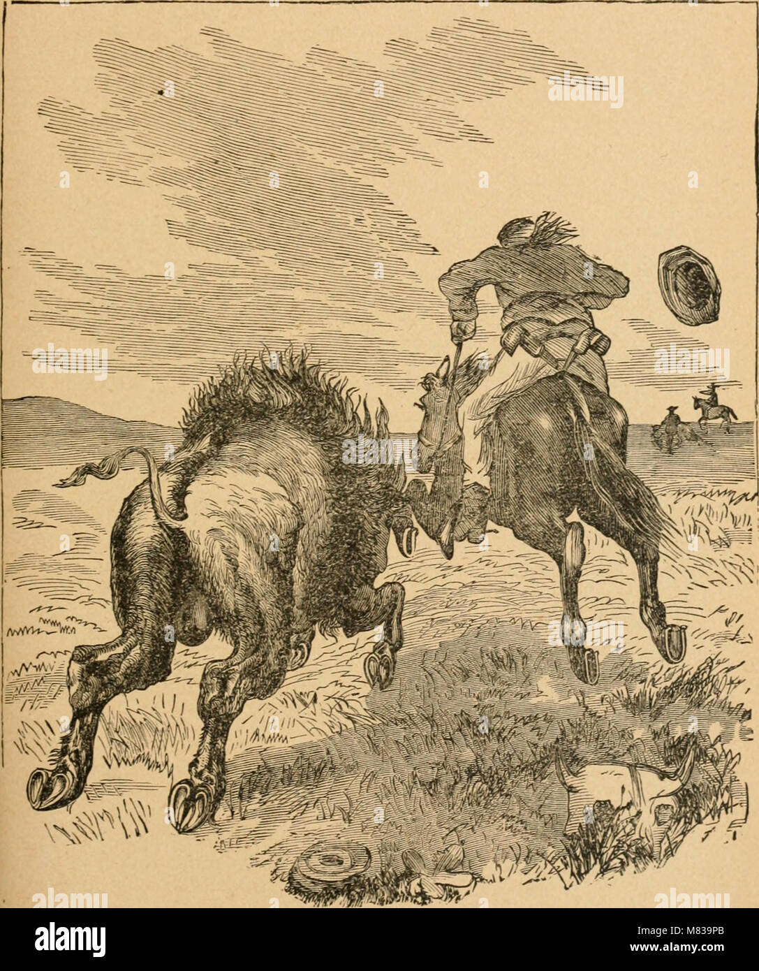 'Conquering the Wilderness' presents the history of American pioneers ...