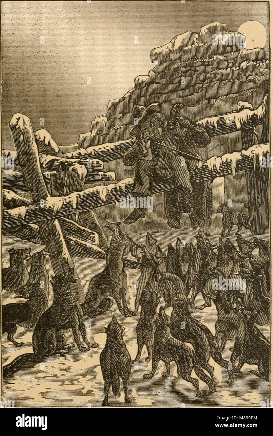 'Conquering the Wilderness' offers a pictorial history of America's ...