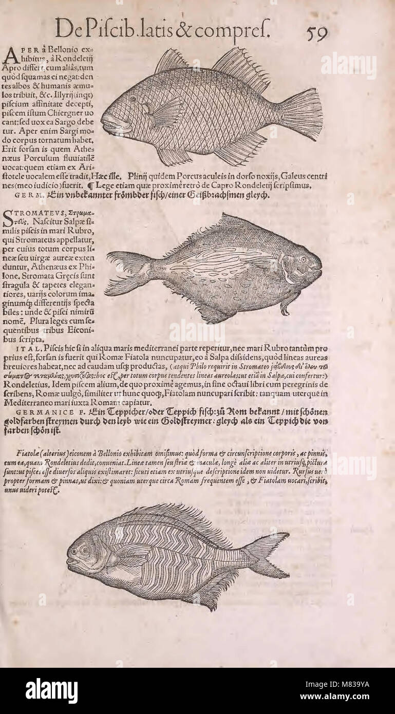 A 1586 work by Conrad Gesner detailing the history and classification ...