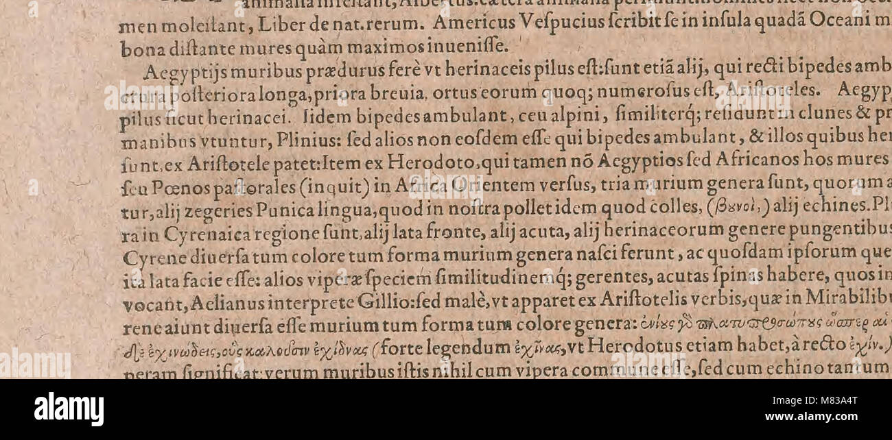 This 16th-century work, 'Historiae animalium' by Conradi Gesner, covers ...