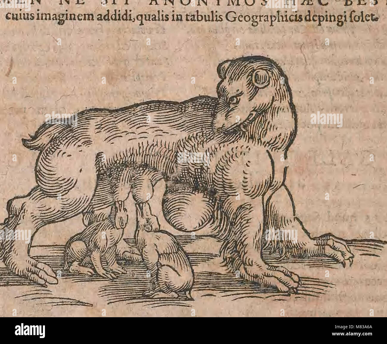 Conrad Gesner's 'Historiae Animalium' is a foundational work in zoology ...