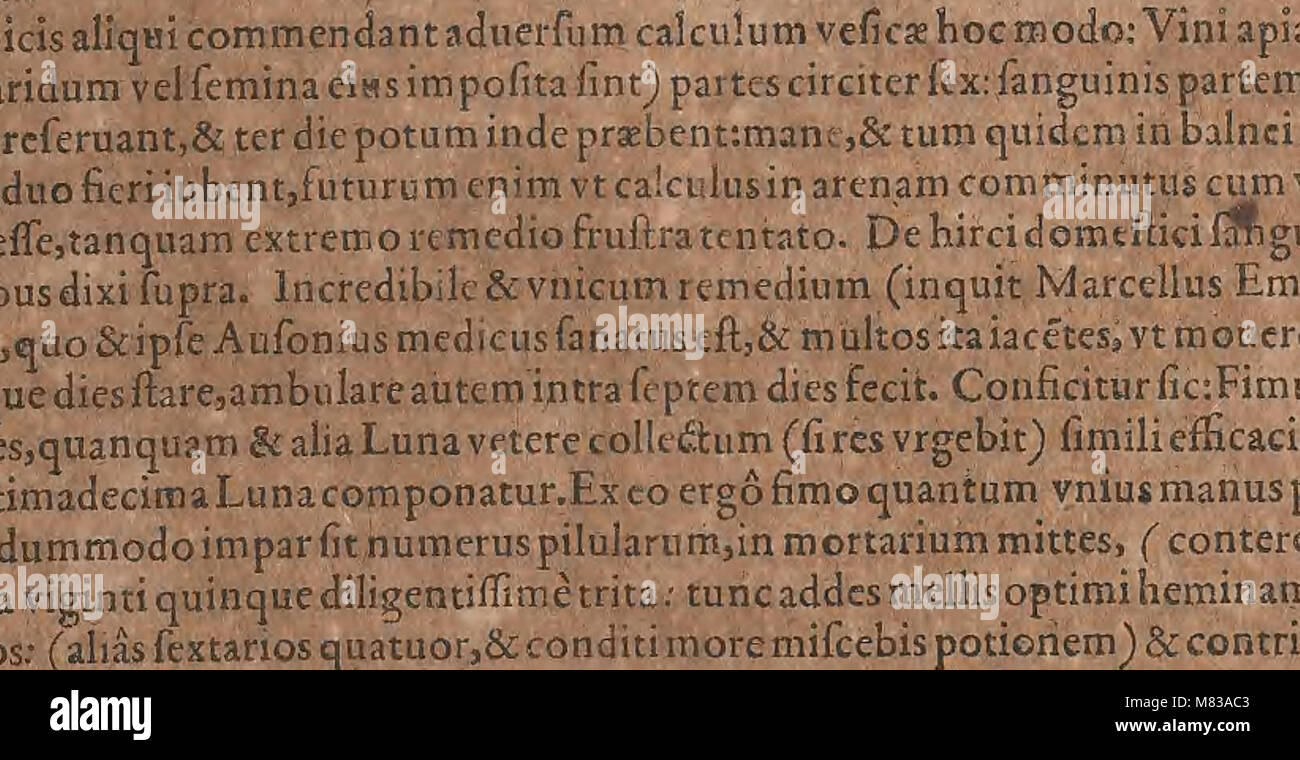 This 16th-century work by Conrad Gesner focuses on the study of ...
