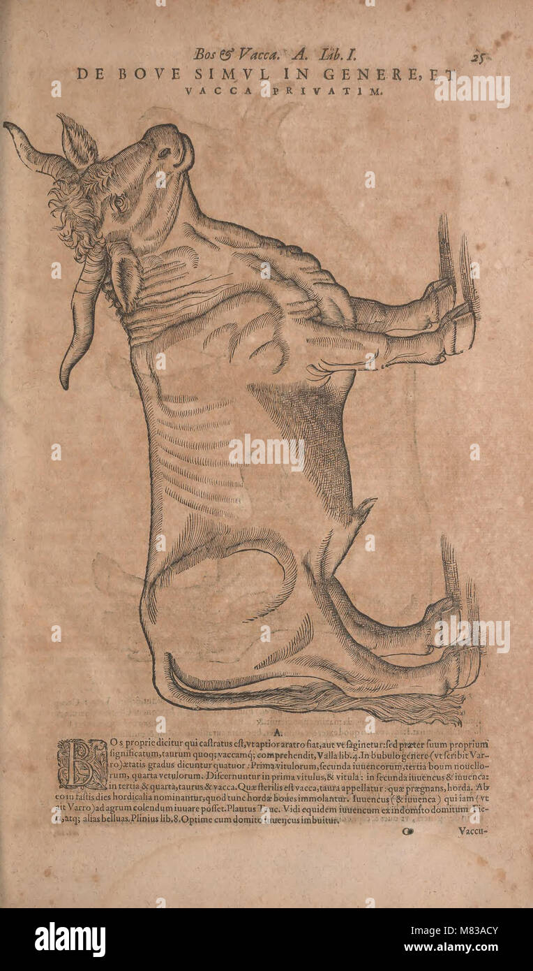 This 16th-century work by Conrad Gesner is a foundational text on the ...