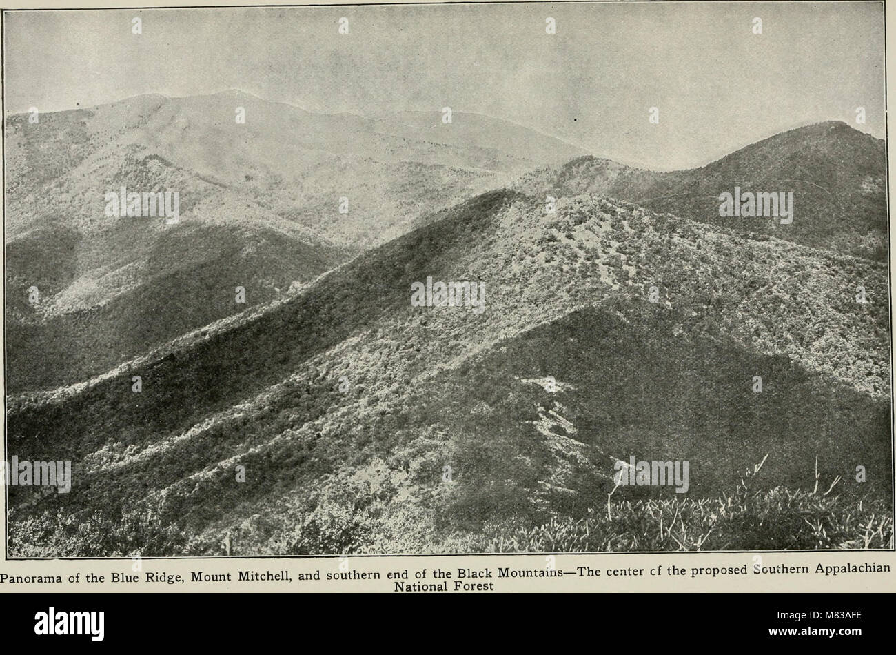 'Conservation' (1908-1909) focuses on the efforts made during the early ...