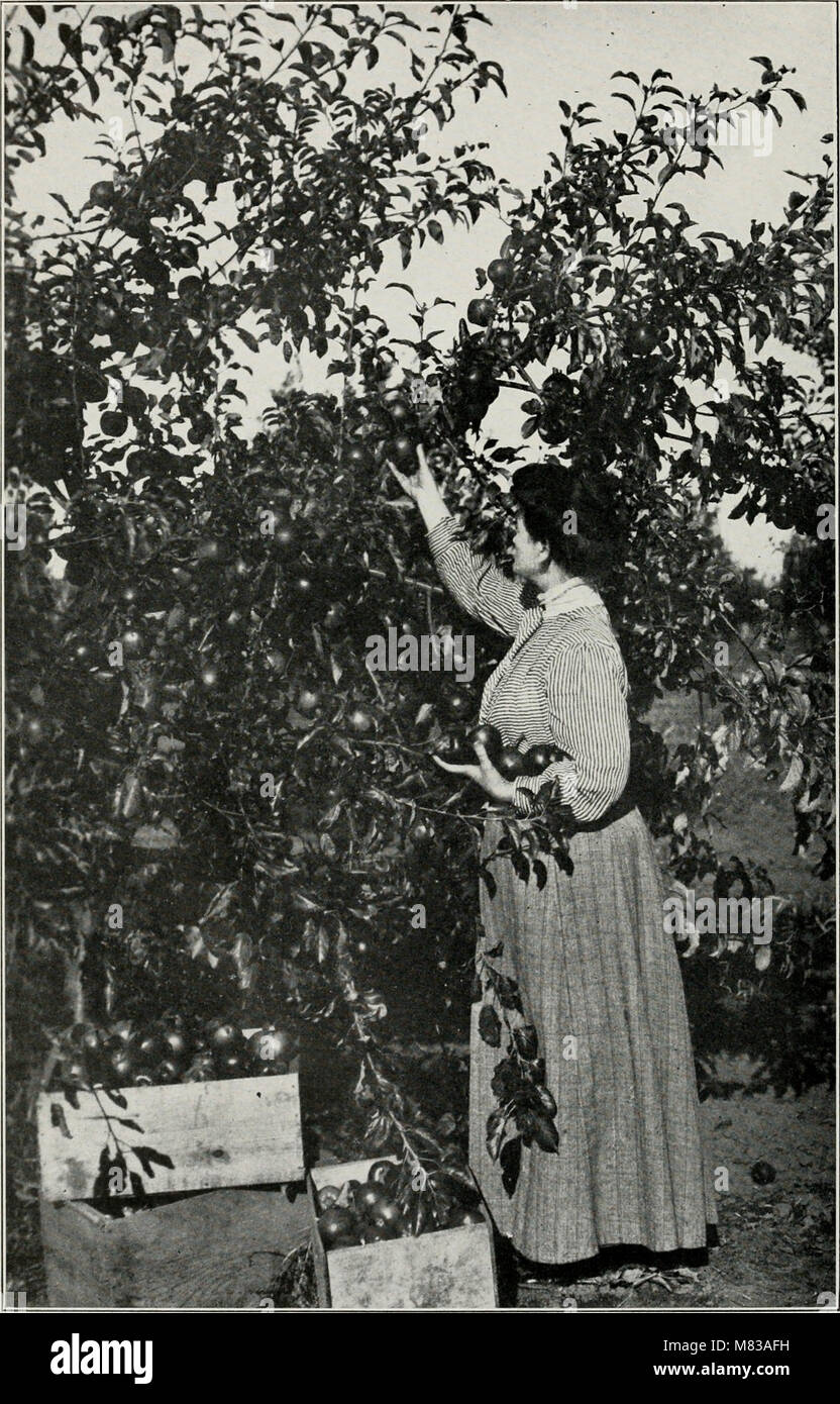 This work from 1908-1909 focuses on conservation efforts in the United ...
