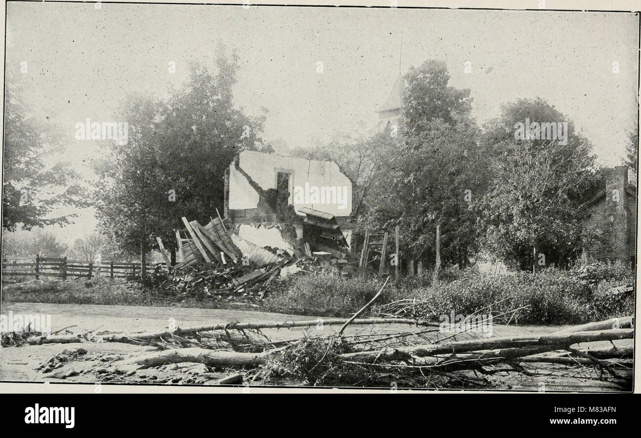 *Conservation* (1908-1909) highlights the importance of preserving ...