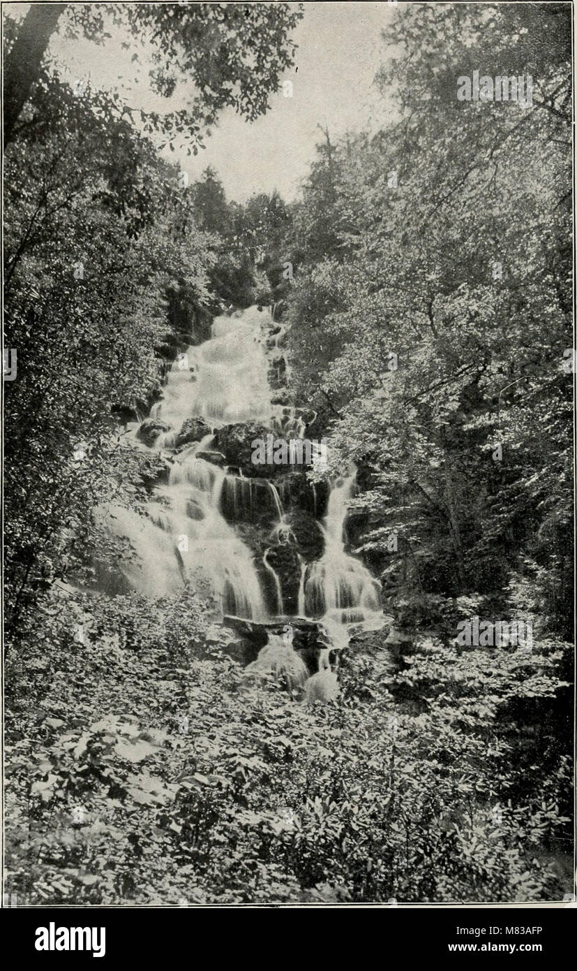 A publication covering conservation efforts from 1908 to 1909, focusing ...