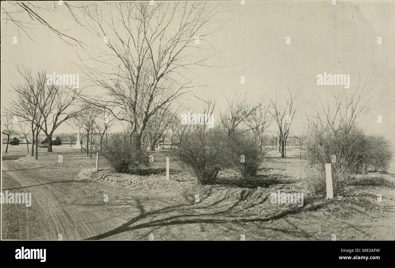 The 'Conservation' publication (1908-1909) addresses environmental ...