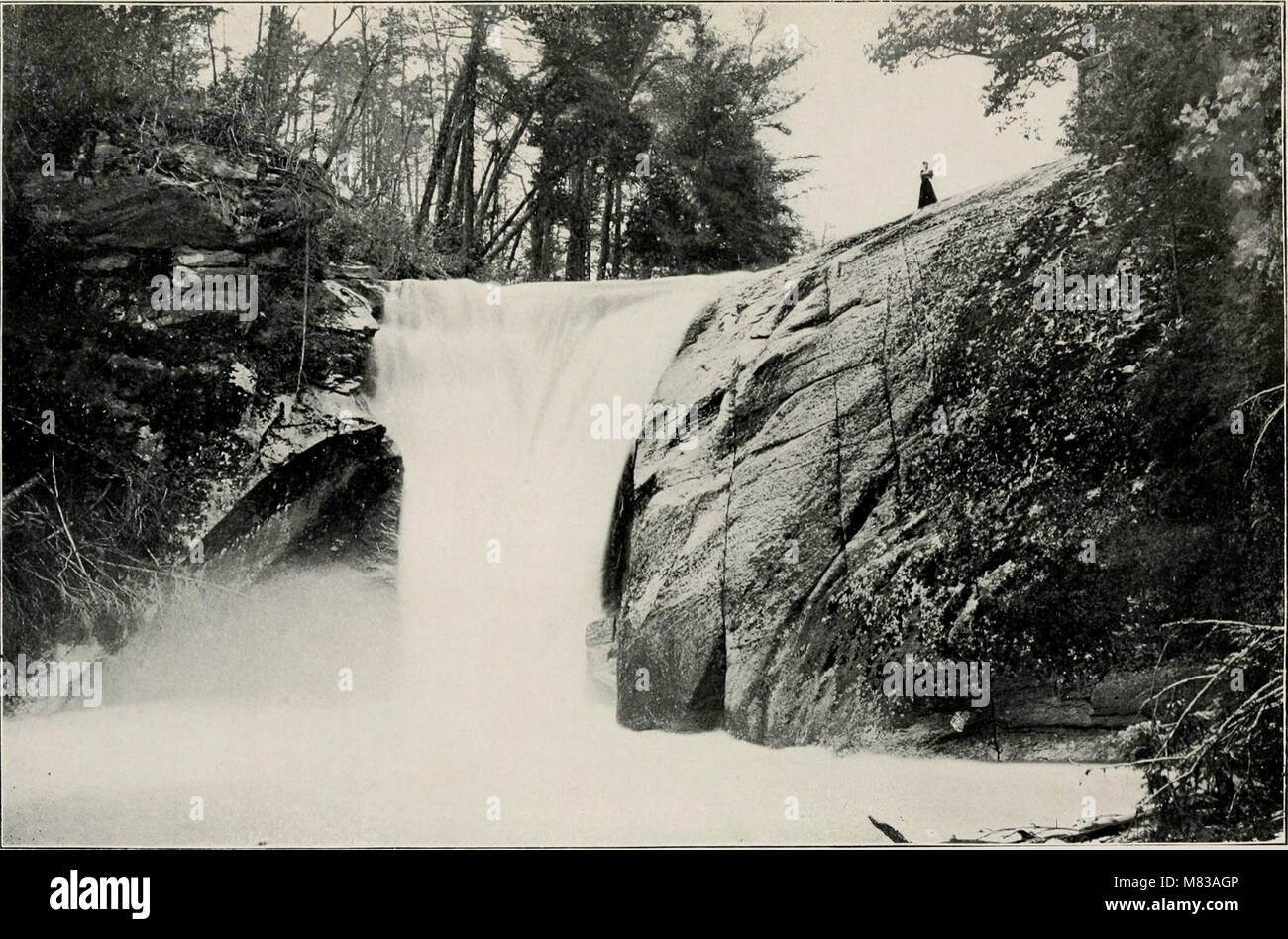 Conservation (1908-1909) covers the progress of environmental ...