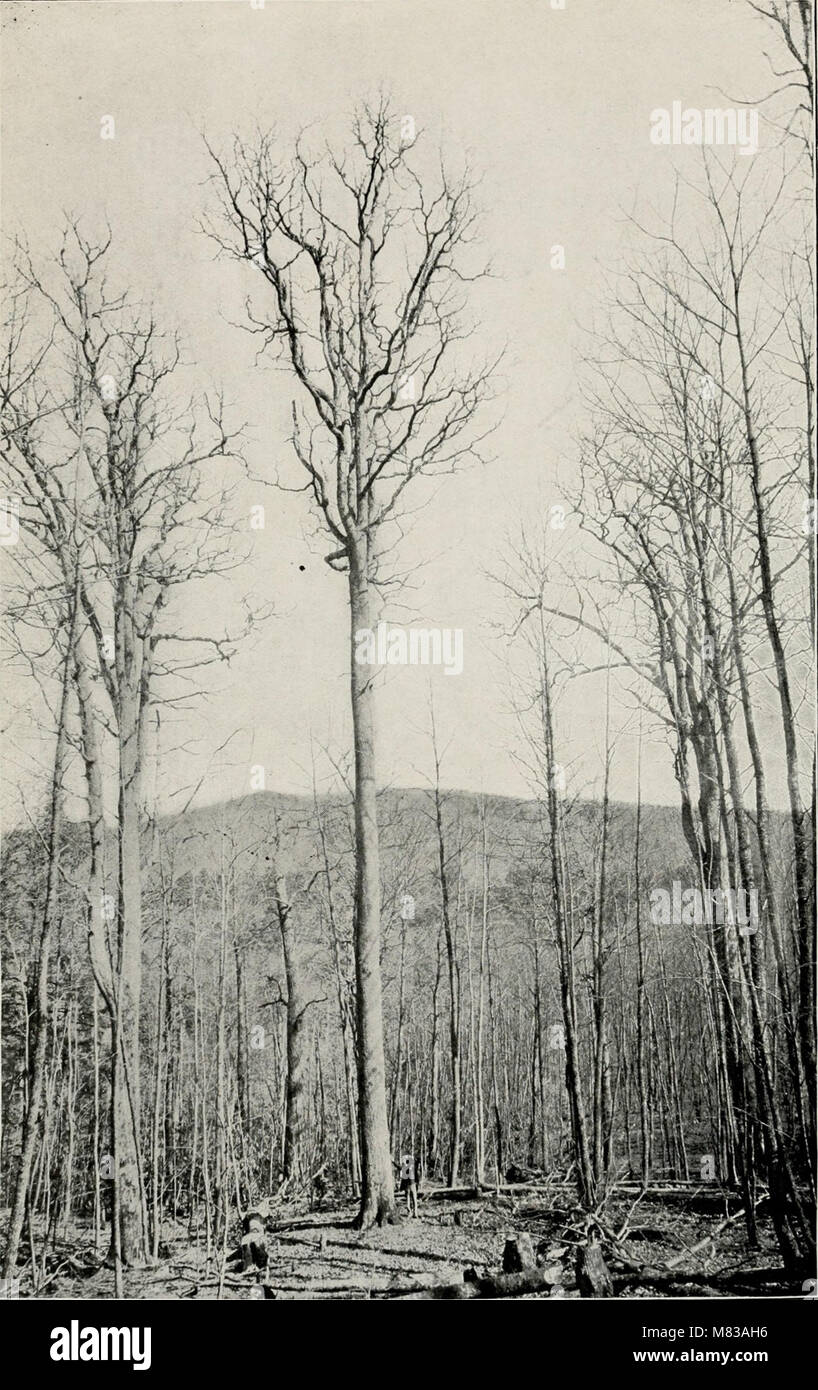 The 1908-1909 publication on conservation explores environmental ...