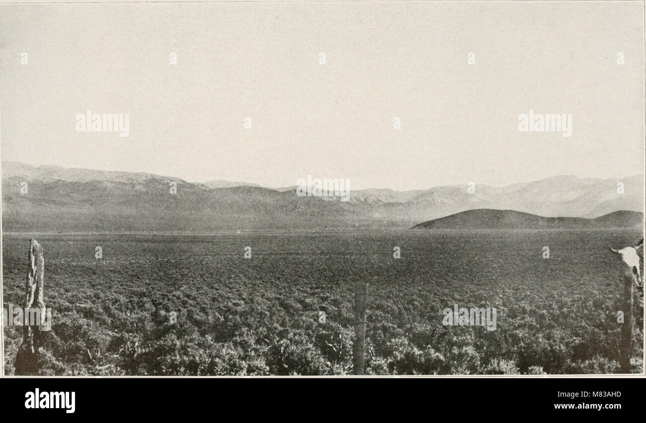 The *Conservation* journal (1908-1909) focuses on the development of ...
