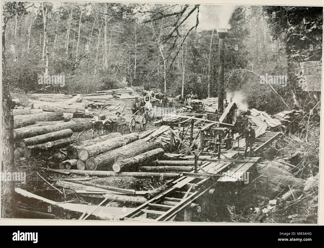 The 1908-1909 'Conservation' publication discusses the early efforts in ...