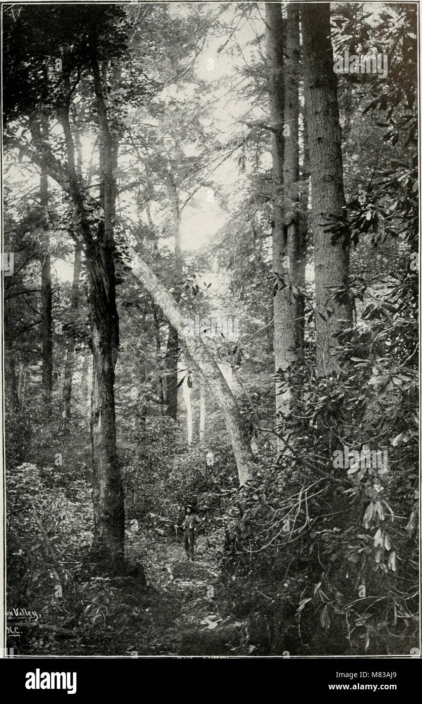 'Conservation' (1908-1909) discusses the principles and practices of ...
