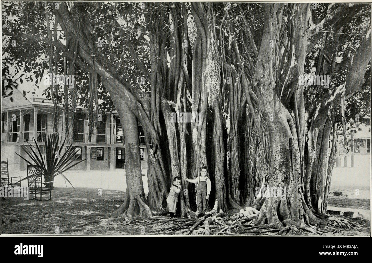 This work, published in 1908-1909, addresses conservation efforts ...