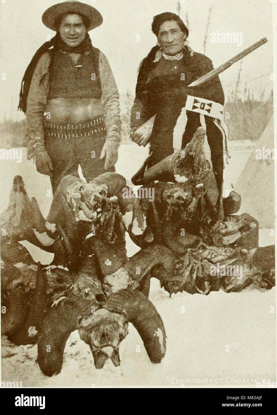 Conservation fish birds game hi-res stock photography and images - Alamy