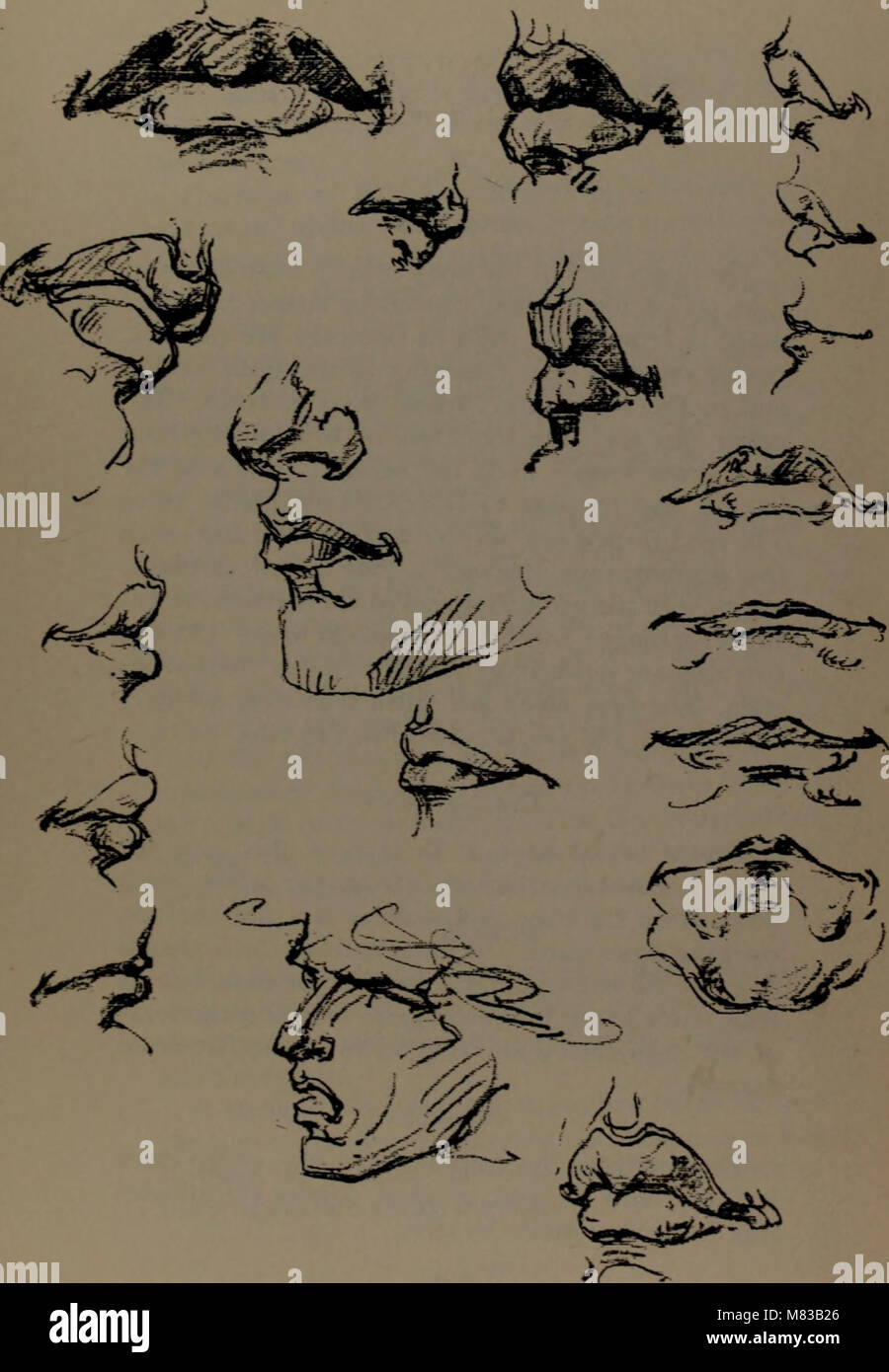 'Constructive Anatomy' (1920) provides an in-depth look at human ...