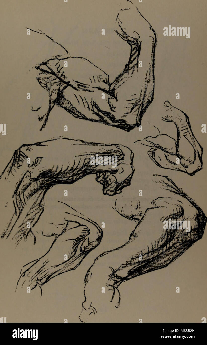 'Constructive Anatomy' (1920) offers a detailed study of human anatomy ...