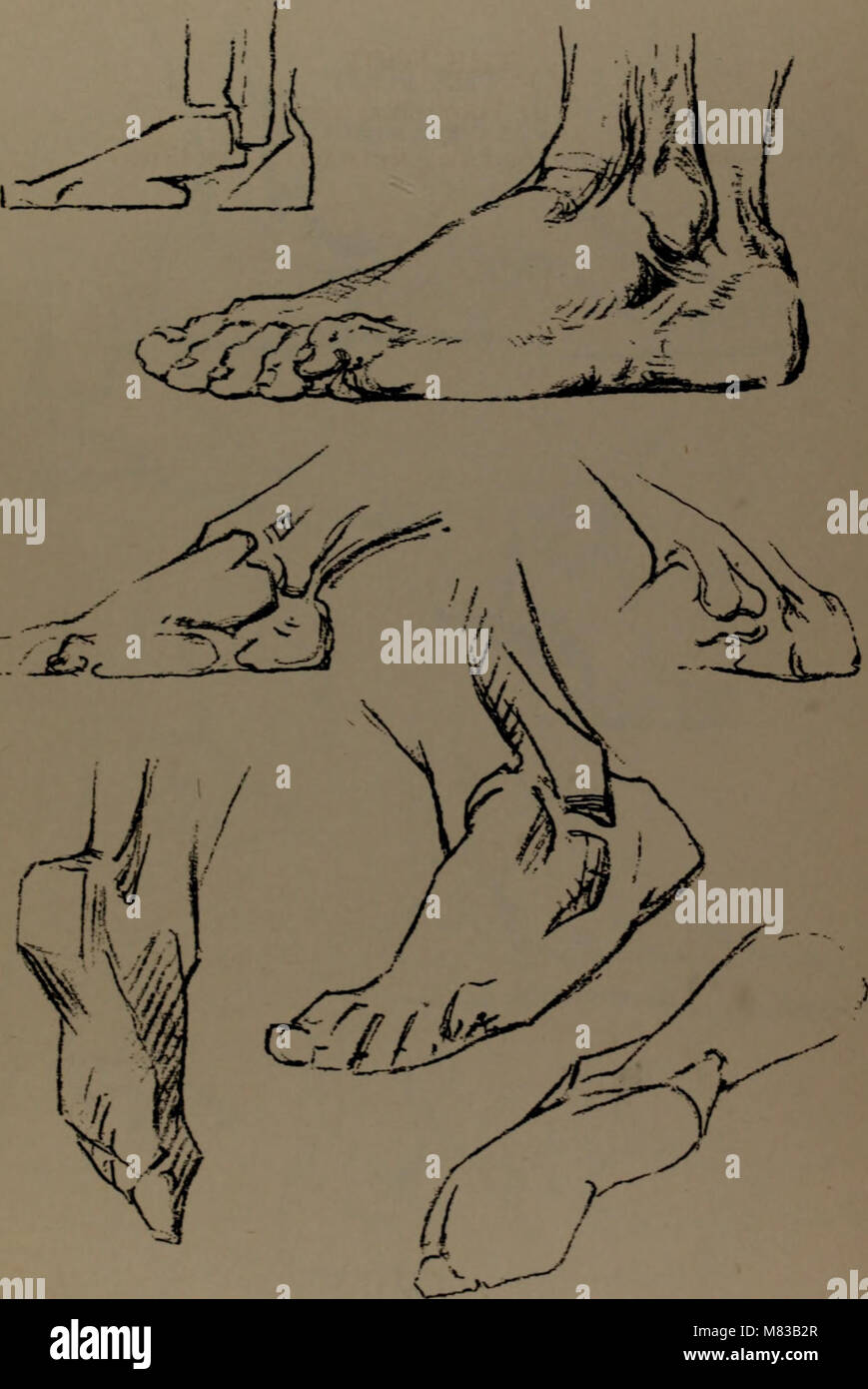 This 1920 work on constructive anatomy offers a comprehensive guide to ...
