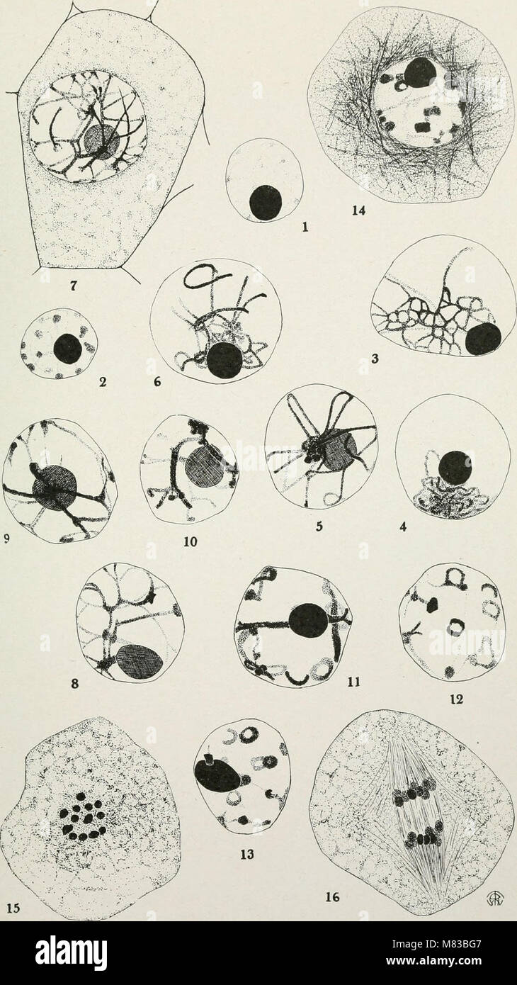 This collection of studies from the University of Pennsylvania's ...