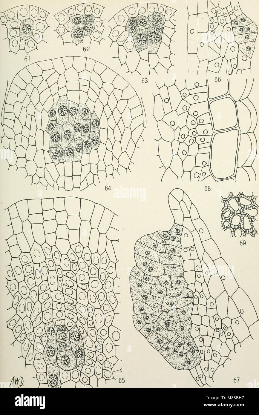 Contributions from the Hull Botanical Laboratory (1895-) (20066439434 ...