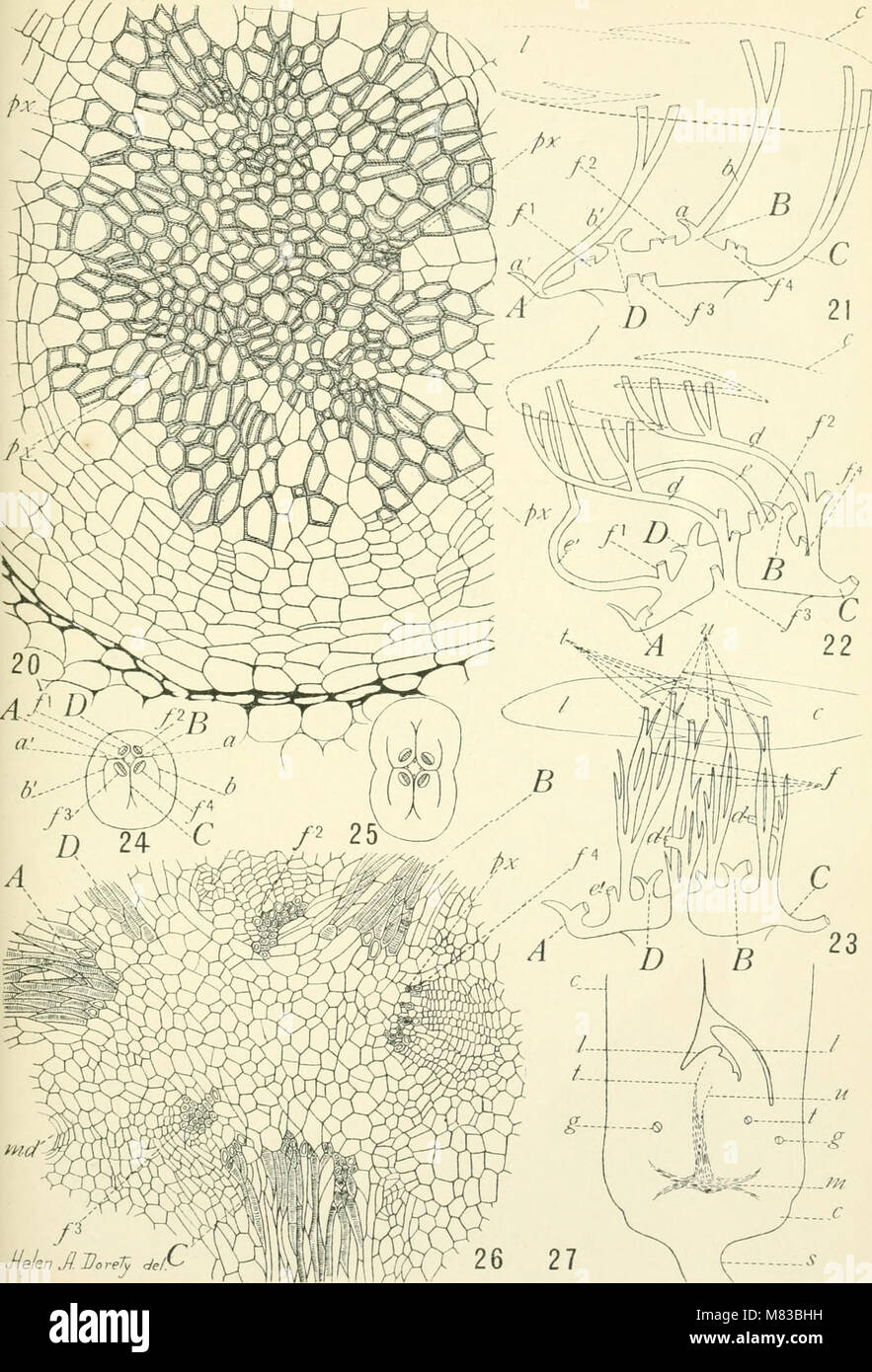 'Contributions from the Hull Botanical Laboratory' is a scientific ...