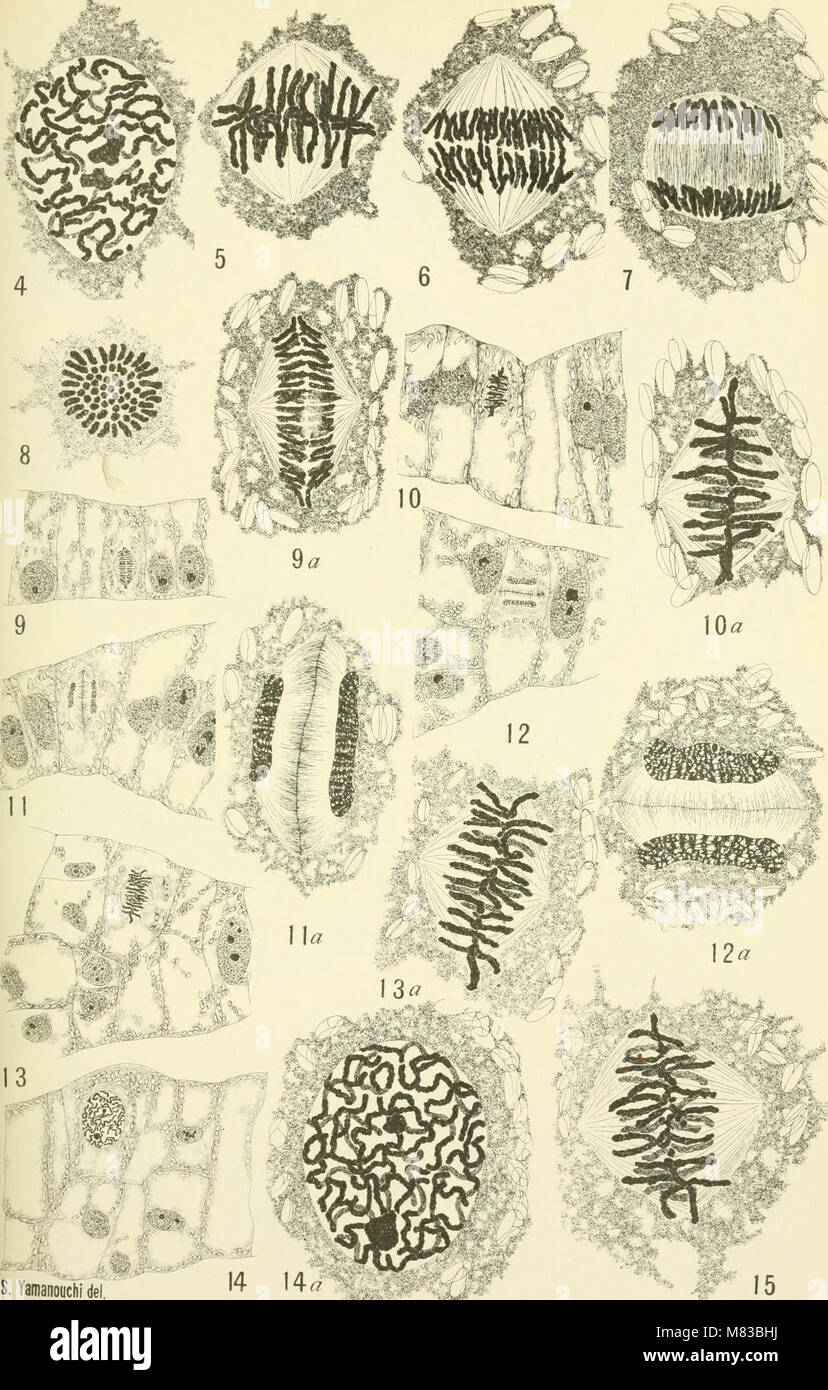 The Contributions from the Hull Botanical Laboratory (1895-) includes ...