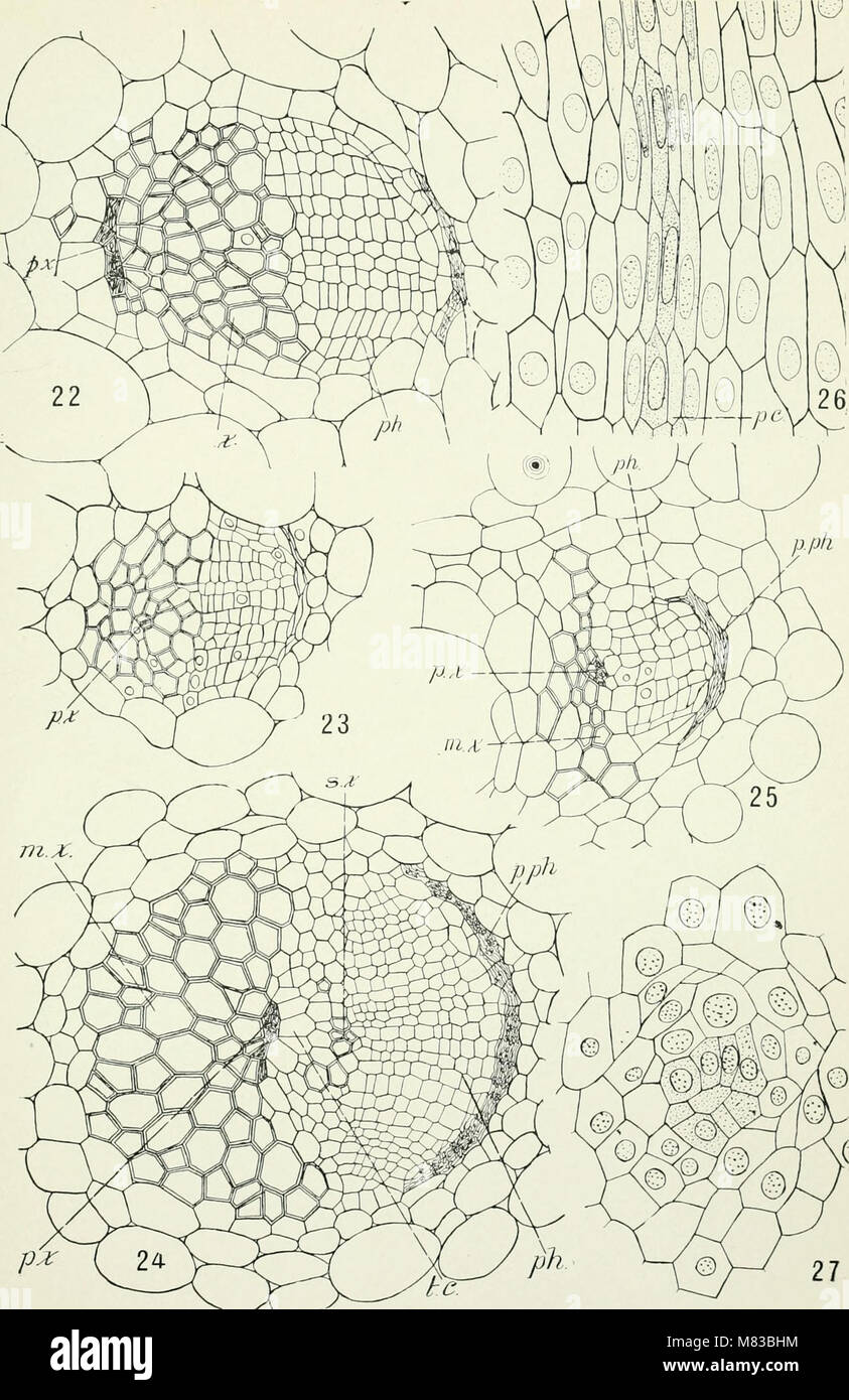 'Contributions from the Hull Botanical Laboratory' is a series of ...