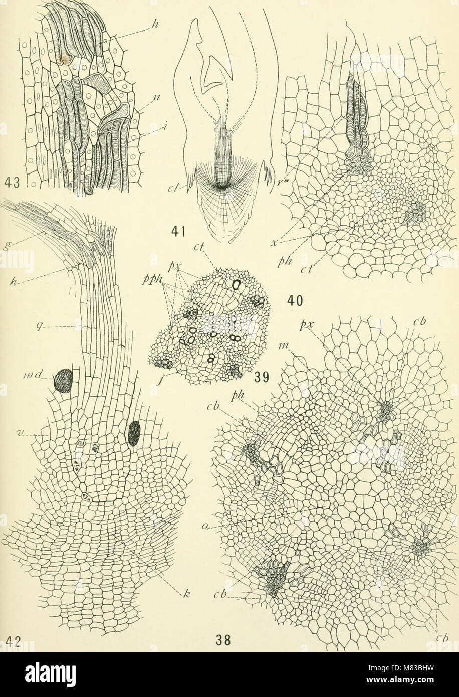 The 'Contributions from the Hull Botanical Laboratory' is a series of ...