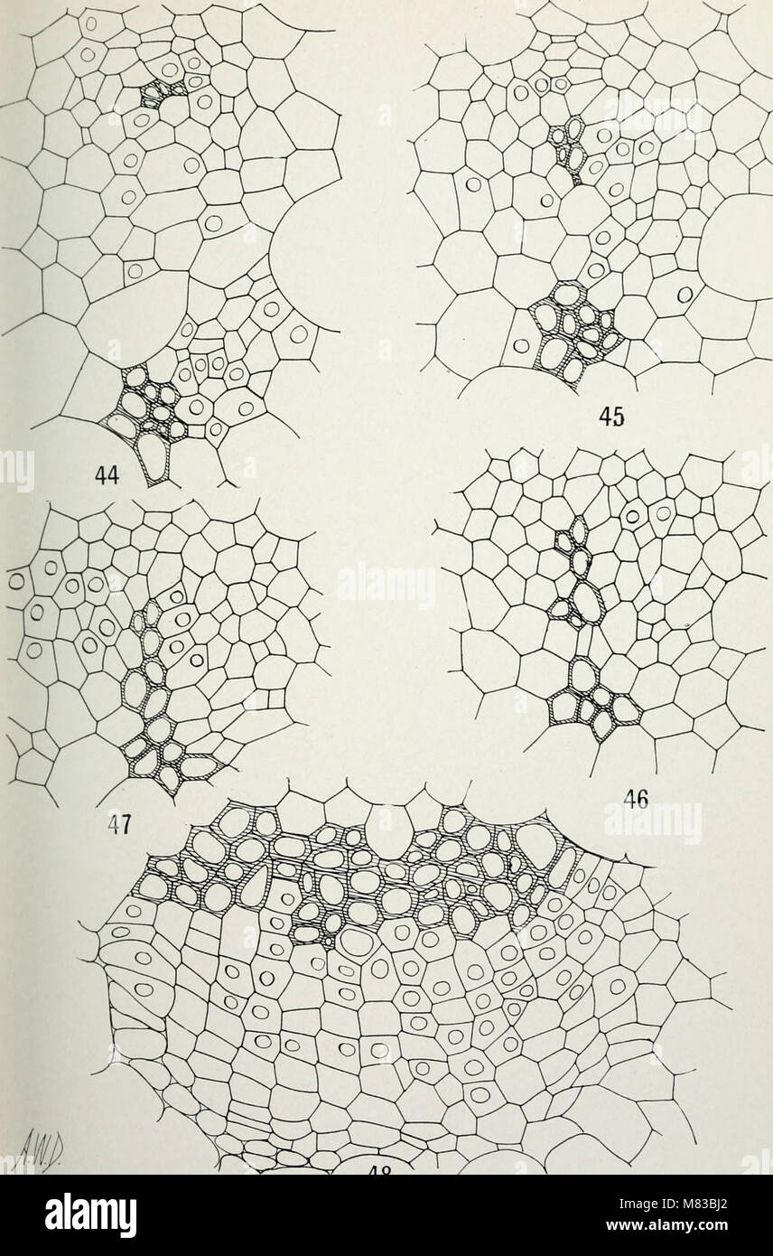 Contributions from the Hull Botanical Laboratory, established in 1895 ...