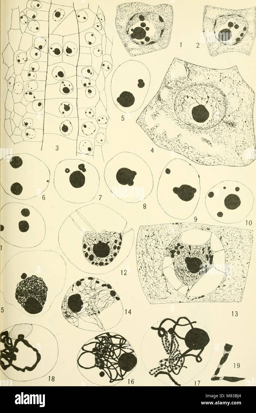 The 'Contributions from the Hull Botanical Laboratory' is a scientific ...