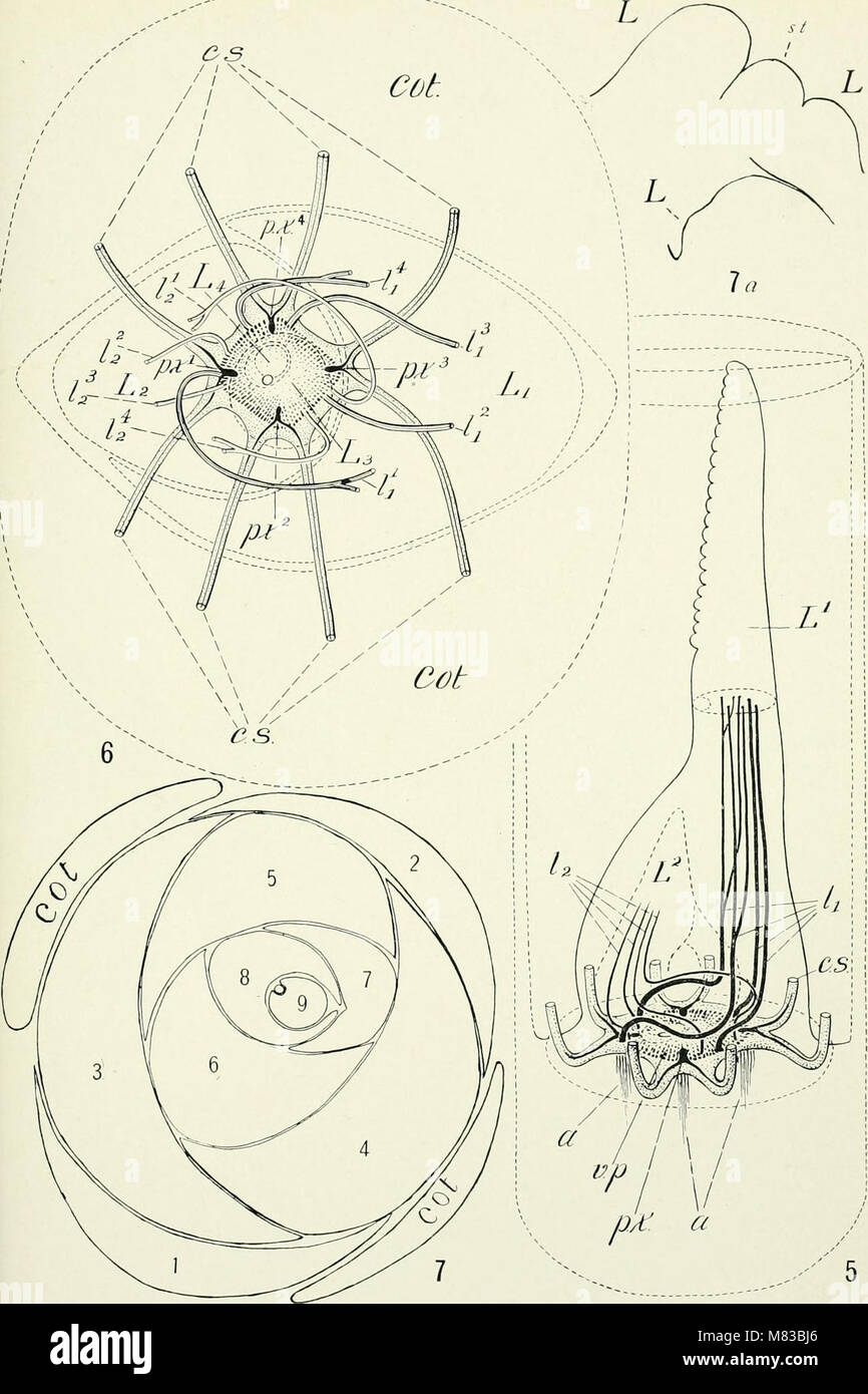 This series of contributions from the Hull Botanical Laboratory ...