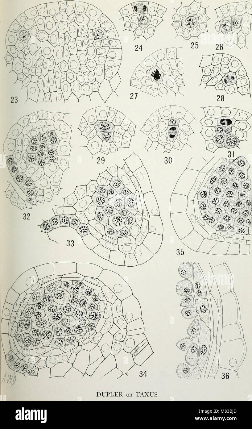 Contributions from the Hull Botanical Laboratory (1895-) is a series of ...