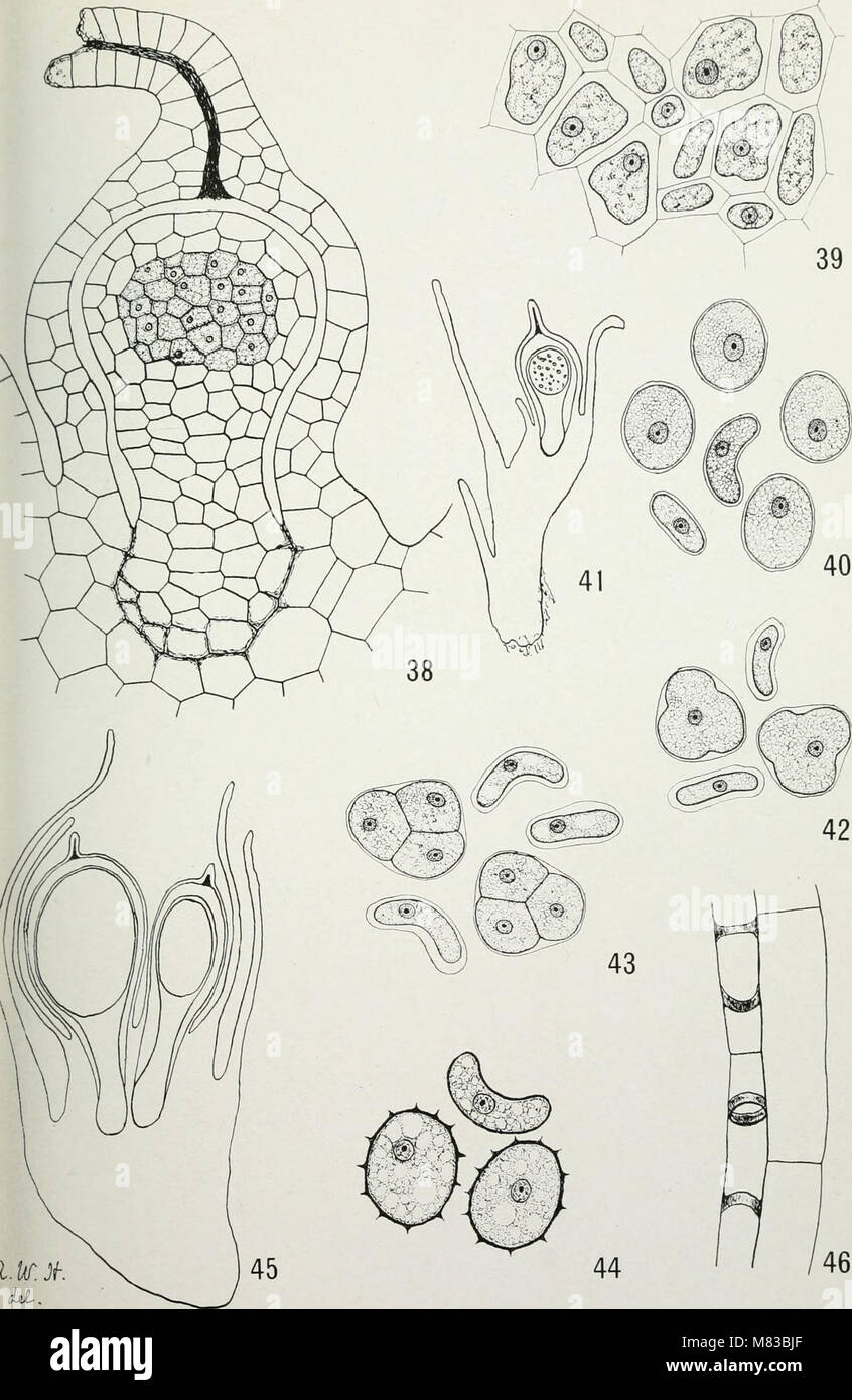 The Hull Botanical Laboratory's contributions focus on plant biology ...