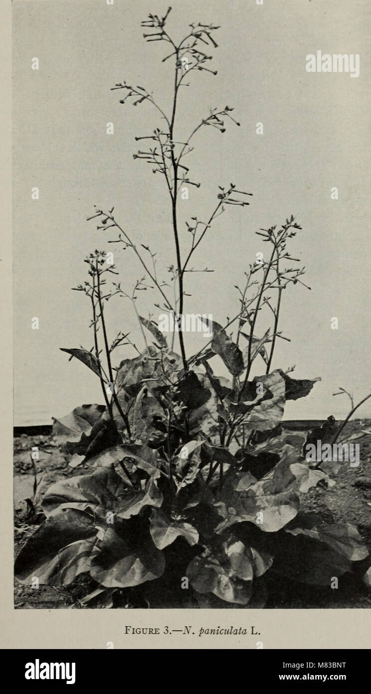 Contributions from the Laboratory of Plant Genetics (1909) (20693813131 ...