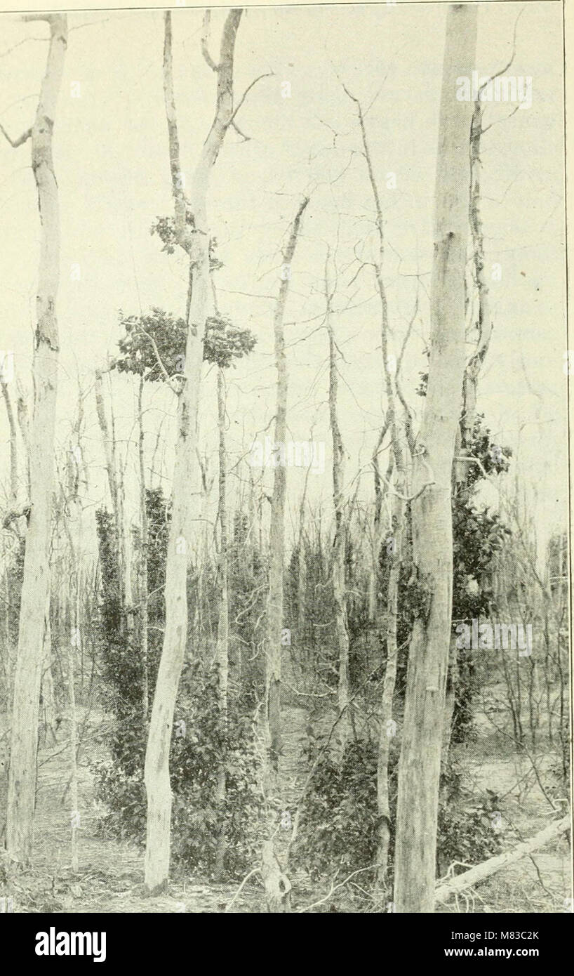 'Contributions in Geographical Exploration' (1920) compiles significant ...