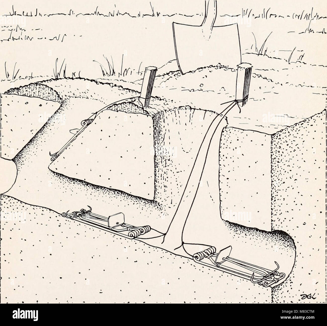This 1958 report provides strategies for controlling field rodents in ...