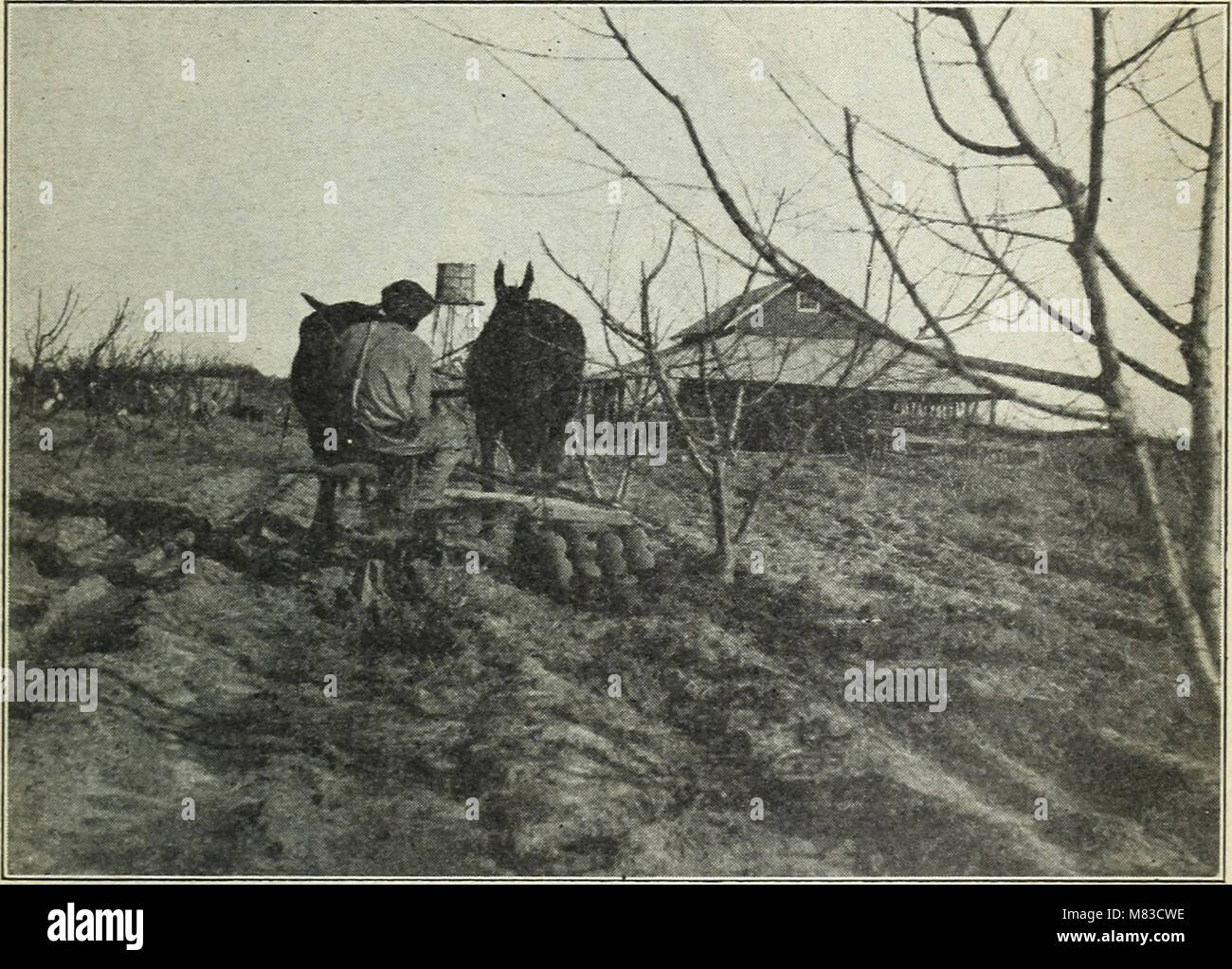 Peach belt hi-res stock photography and images - Alamy