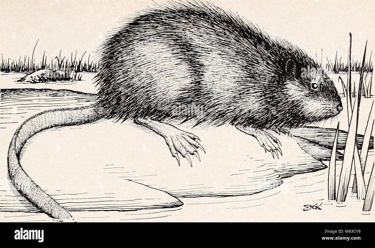 The 1965 report on the 'Control of Field Rodents on California Farms ...