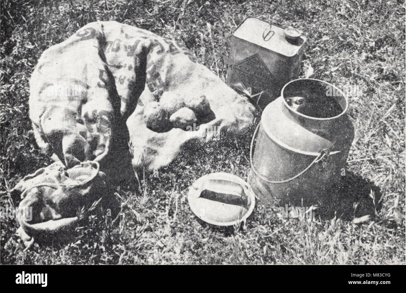 This 1965 report discusses methods for controlling field rodents on ...