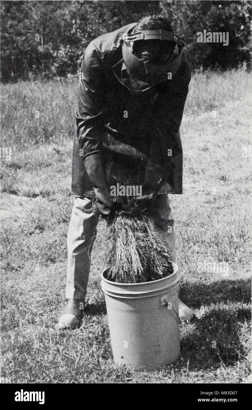 Pest control strategies hi-res stock photography and images - Alamy