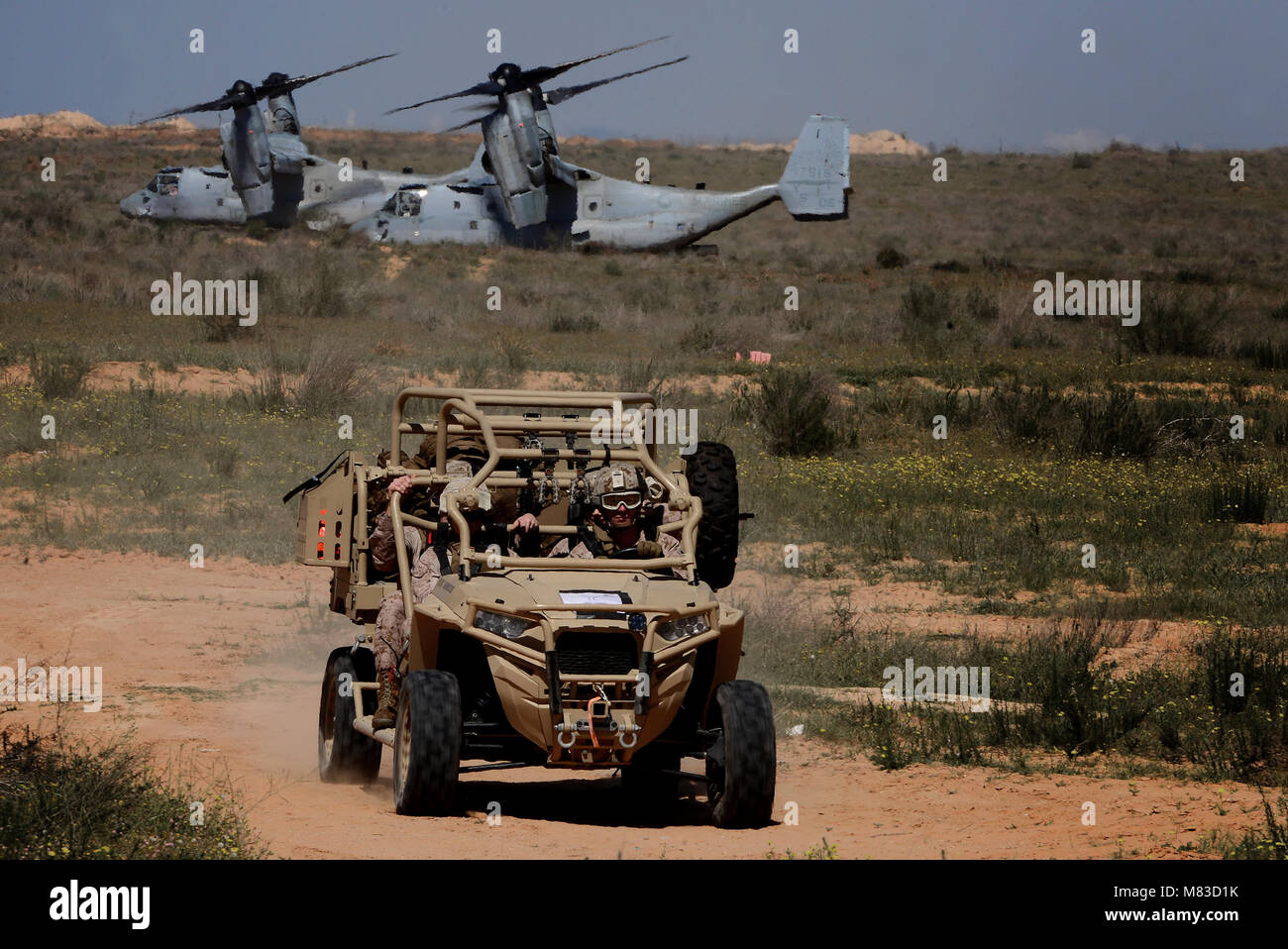 U.S. Marines from the 26th Marine Expeditionary Unit arrive at an ...
