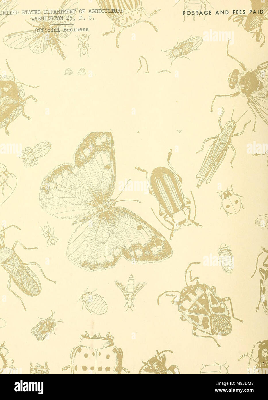 This 1961 report focuses on the economic impact of various insect ...