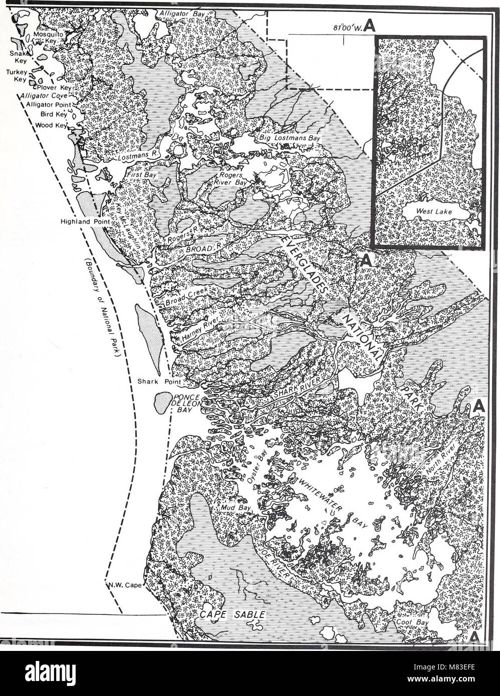 This 1972 study outlines the estuarine ecosystem of the Gulf of Mexico ...