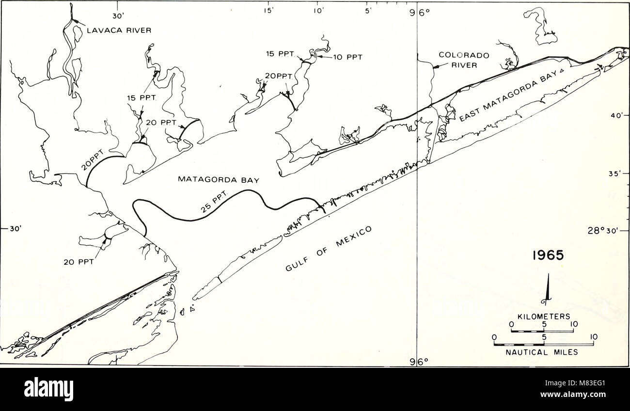 Cooperative Gulf of Mexico estuarine inventory and study, Texas - area ...