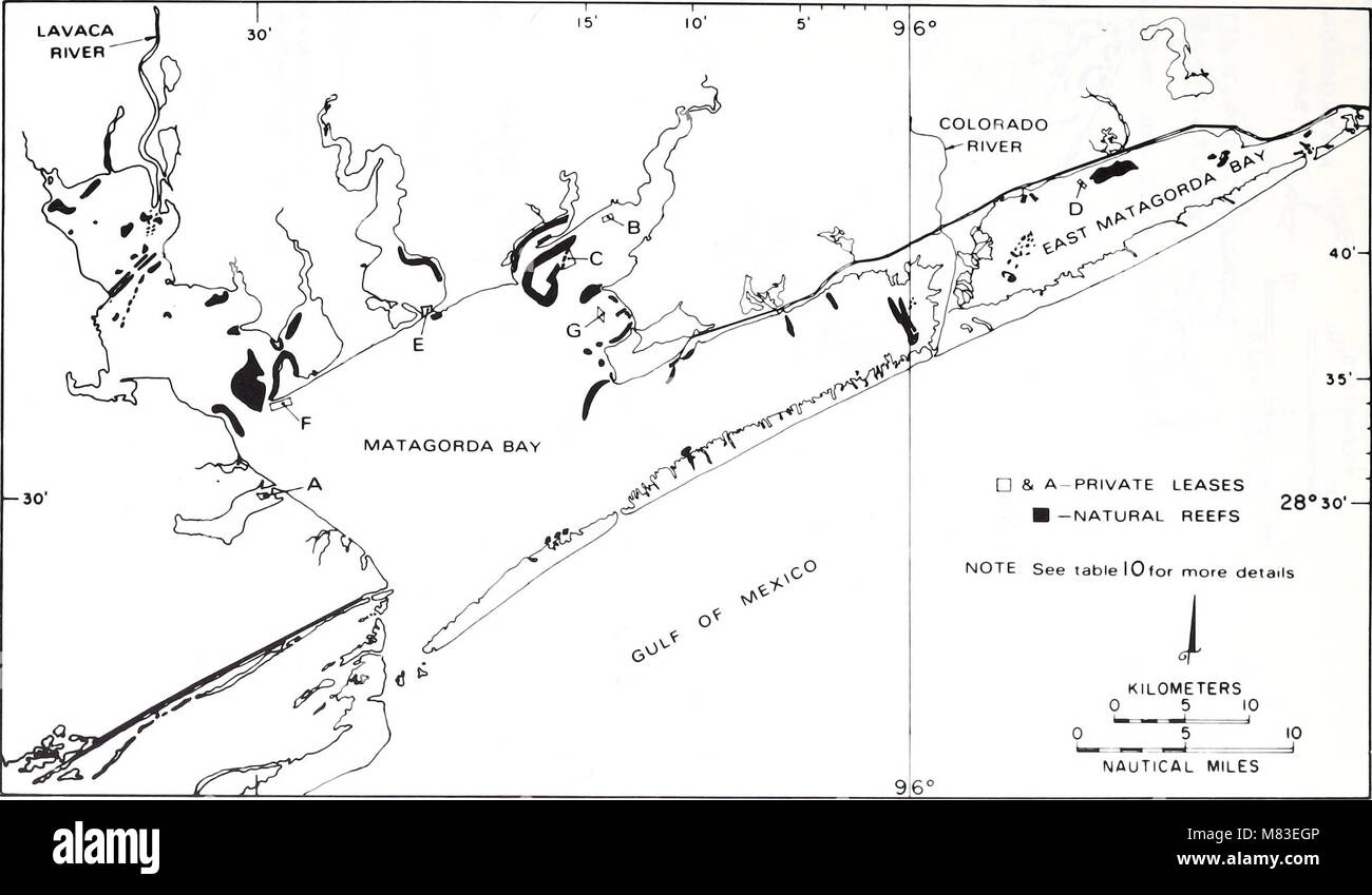 Cooperative Gulf of Mexico estuarine inventory and study, Texas - area ...