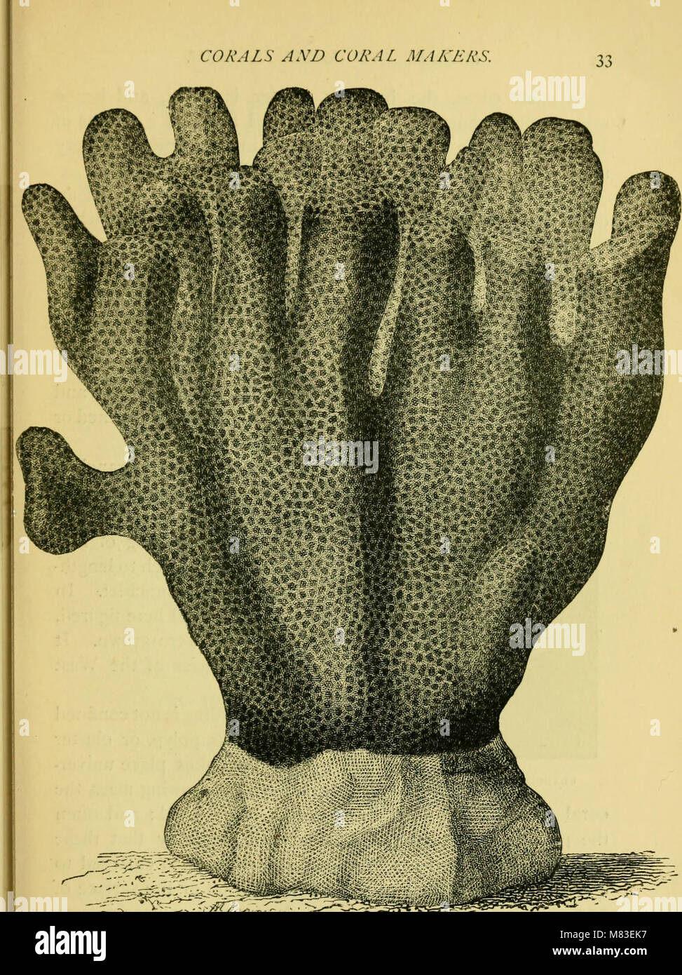 'Corals and Coral Islands' (1875) explores the formation, diversity ...